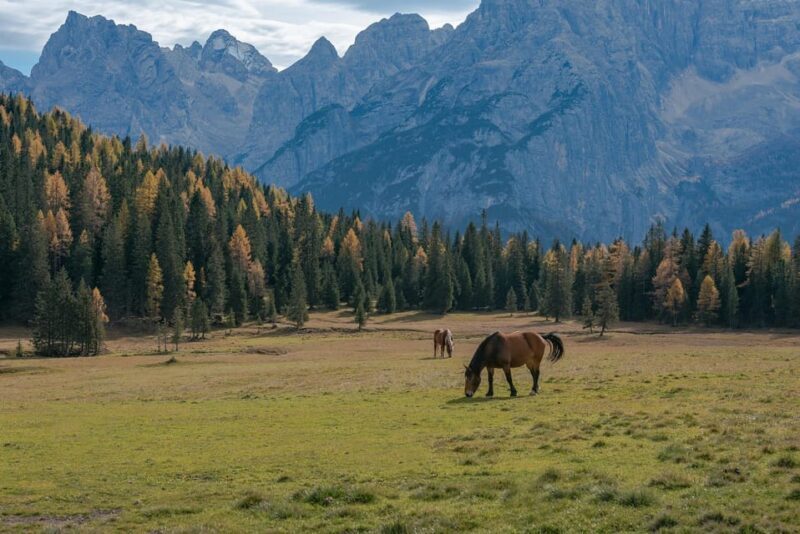 Dolomites private guided city tour - Why Choose the Dolomites Private Guided Tour?