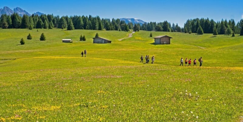 Dolomites private guided city tour - Highlights of the Tour
