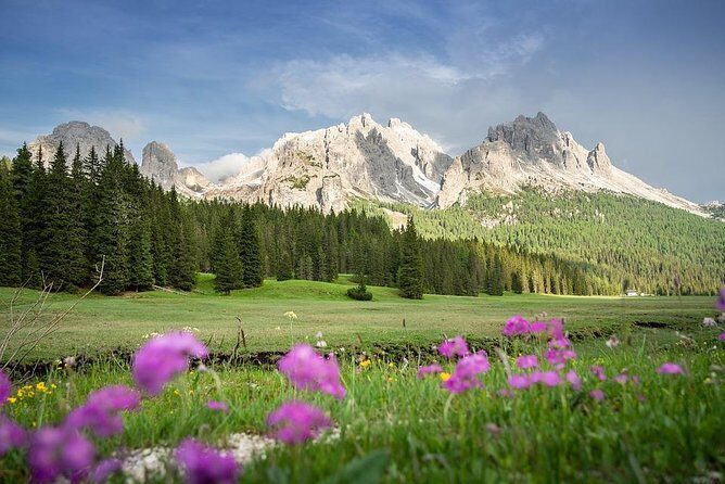 Dolomites Private Tour from Venice - The Experience in Detail