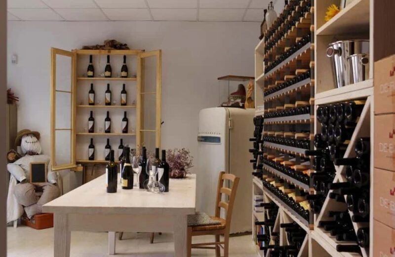 Dolomites Winery Tour and Wine Tasting near Belluno - An In-Depth Look at the Experience