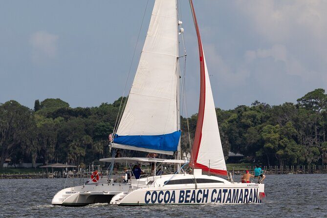 Dolphin Adventure Sail in Cocoa Beach - What to Expect on the Dolphin Adventure Sail