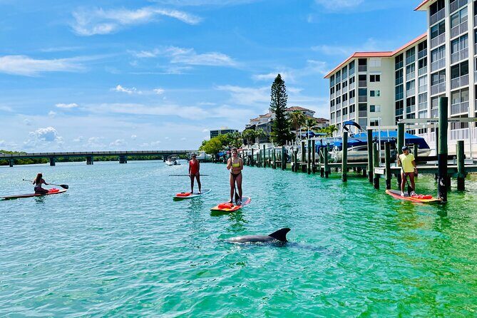Dolphin and Manatee Adventure Tour of Fort Myers - The Value of the Tour