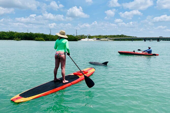 Dolphin and Manatee Adventure Tour of Fort Myers - Accessibility and Practical Details