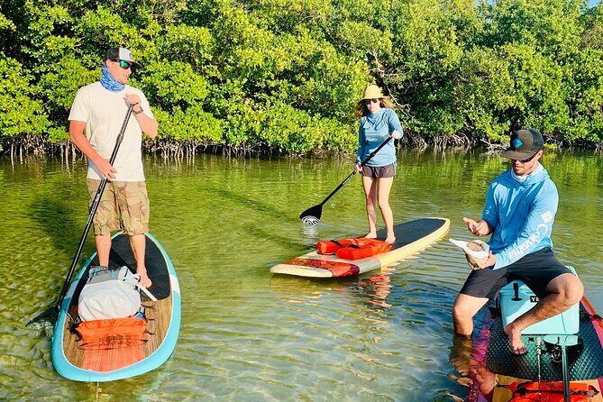 Dolphin and Manatee Adventure Tour of Fort Myers - Final Thoughts