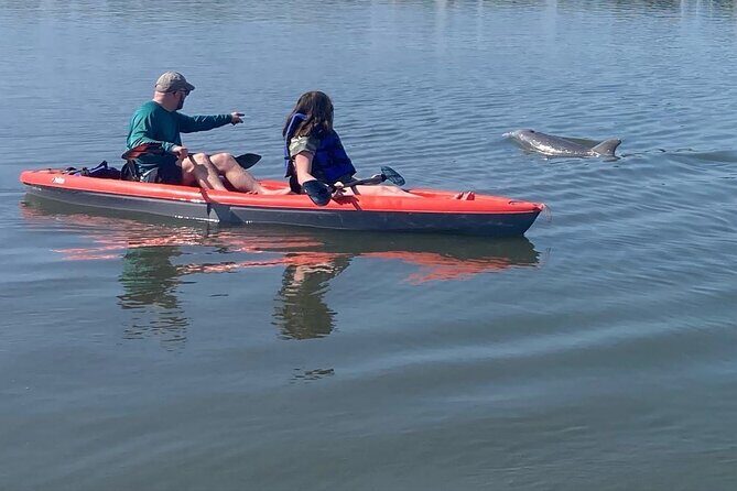 Dolphin and Manatee Adventure tour of Osprey with Florida History - What to Expect on the Tour