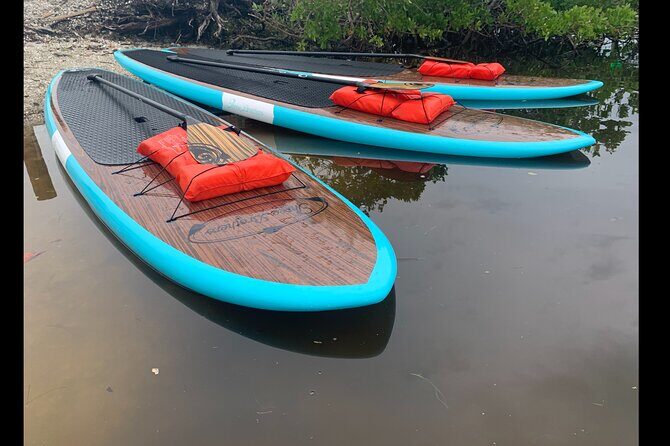 Dolphin and Manatee Adventure tour of Osprey with Florida History - Pricing & Value Assessment