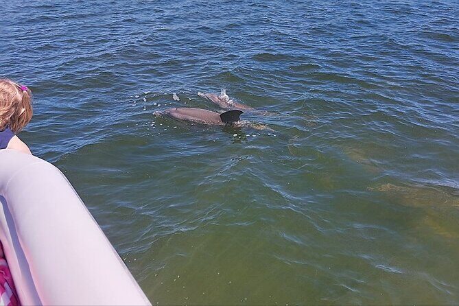 Dolphin and Manatee Boat Tour from Cocoa Beach and Port Canaveral - Who Will Love This Experience?