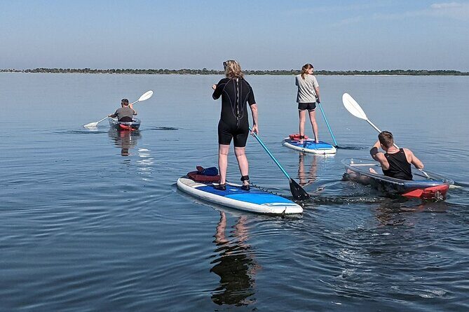 Dolphin and Manatee Clear Kayak or Paddleboard Tour - FAQ