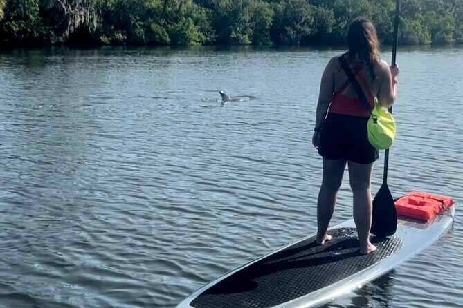 Dolphin and Manatee Kayak and SUP Adventure Tour of Cocoa Beach - Detailed Breakdown of the Itinerary