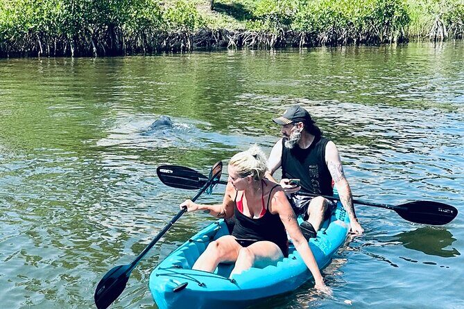 Dolphin and Manatee Kayak and SUP Adventure Tour of Cocoa Beach - Authentic Experiences Highlighted by Reviews