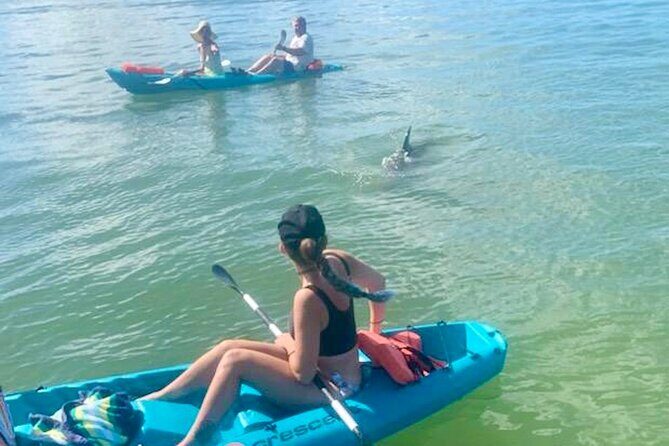 Dolphin and Manatee Kayak Tour of Daytona Beach - What to Expect from the Dolphin and Manatee Kayak Tour