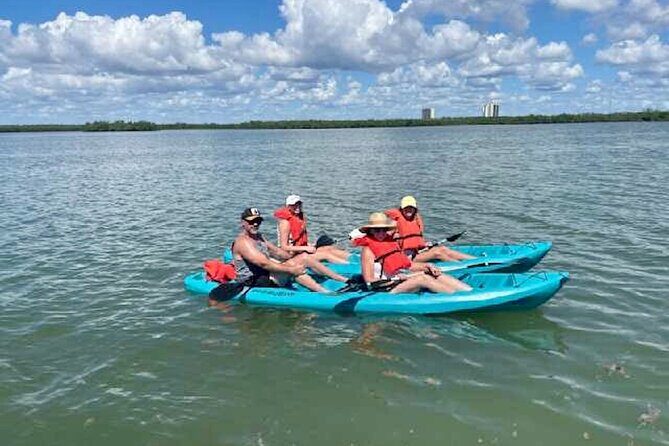 Dolphin and Manatee Kayak Tour of Daytona Beach - Equipment and Comfort