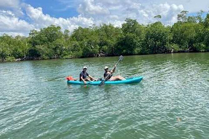 Dolphin and Manatee Kayak Tour of Daytona Beach - FAQ