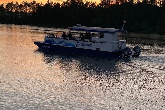 Dolphin and Nature Sunset Cruise from Orange Beach - What to Expect on the Dolphin and Nature Sunset Cruise