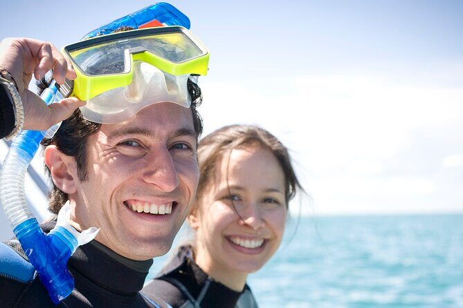 Dolphin and Seal snorkel adventure from Sorrento - Common Praises and Potential Drawbacks