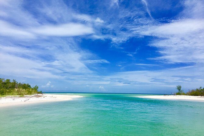Dolphin and Shelling Cruise for up to 12 people - The Itinerary in Detail