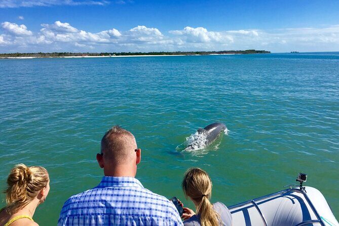 Dolphin and Shelling Cruise for up to 12 people - Price and Value