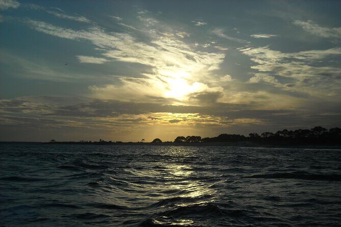 Dolphin and Snorkeling Activity in Panama City Florida - Additional Considerations