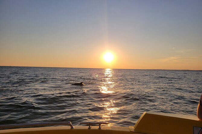 Dolphin and Sunset tour aboard the Hydro Rocket - A Detailed Look at the Tour Itinerary