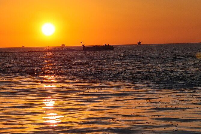 Dolphin and Sunset tour aboard the Hydro Rocket - Practical Tips for Future Travelers