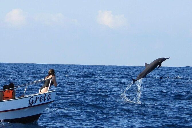 Dolphin and Whale Watching Boat Trip in Puerto Escondido - Key Points