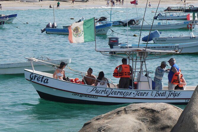 Dolphin and Whale Watching Boat Trip in Puerto Escondido - A Complete Look at the Experience