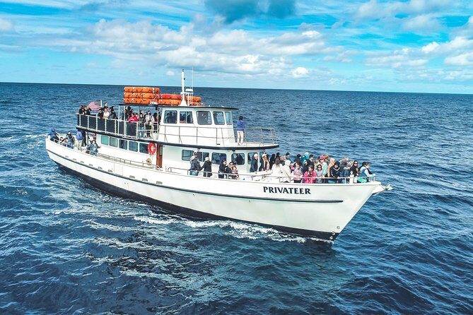 Dolphin and Whale Watching Sunset Cruise - Wildlife Viewing: What You Might See