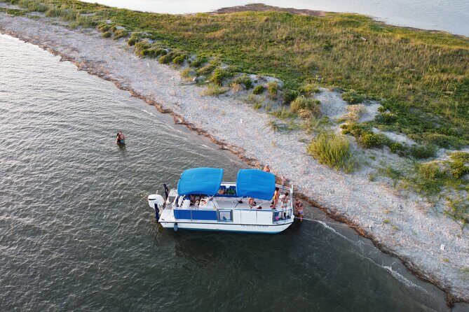 Dolphin Boat Tour from Folly Beach to Morris Island - Who This Tour Is Best For