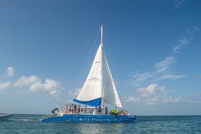 Dolphin Catamaran Snorkel and Sail with Open Bar - An In-Depth Look at the Tour Experience