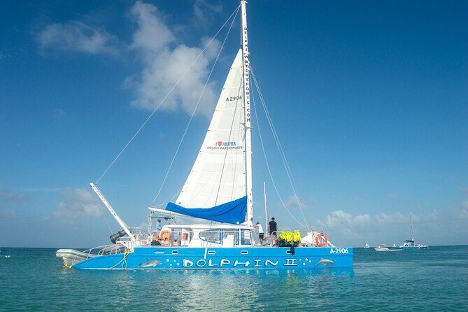 Dolphin Catamaran Snorkel and Sail with Open Bar - Final Thoughts