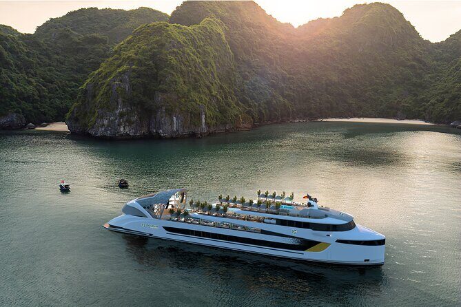 Dolphin Cruise  Experience Halong Bay in Timeless Luxury - Key Points
