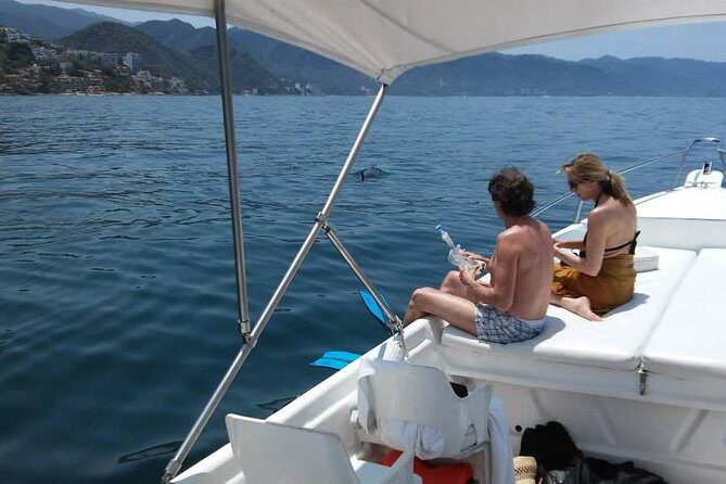 Dolphin Encounter - Who Will Love This Tour?
