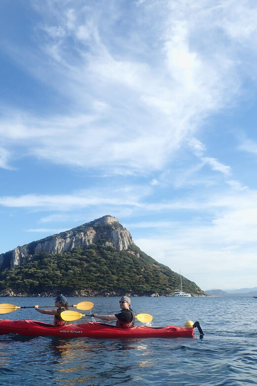 Dolphin Kayak Safari at Sunset at Golfo Aranci - Key Points