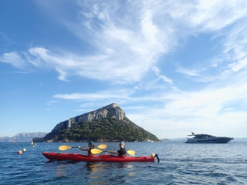 Dolphin Kayak Safari at Sunset at Golfo Aranci - FAQ
