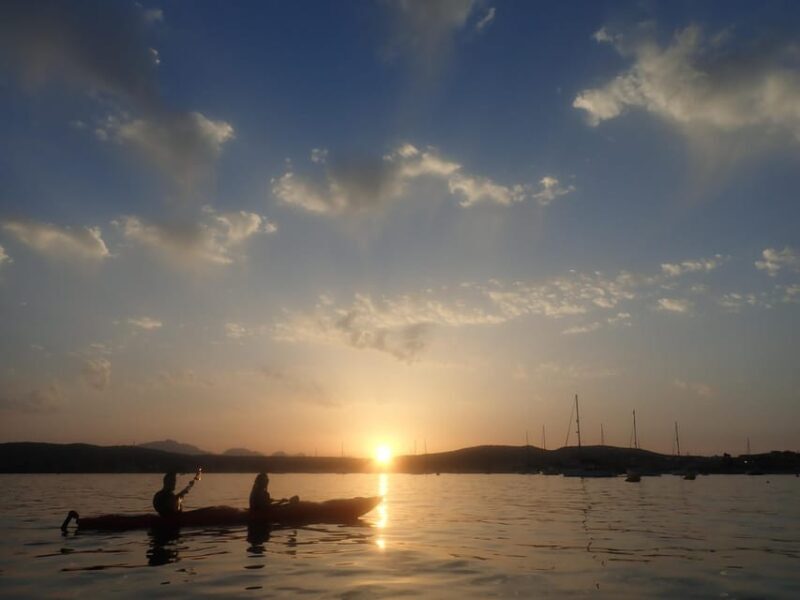 Dolphin Kayak Safari at Sunset at Golfo Aranci - Final Thoughts