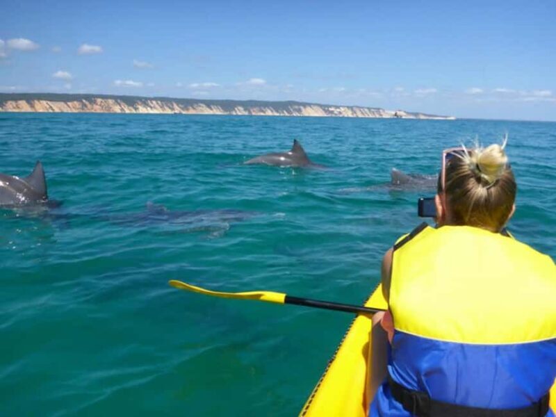 Dolphin Kayak Tour & Beach 4X4 National Park Tour (Private) - The Return Journey — Scenic and Relaxing