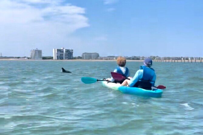 Dolphin Kayak Tour in Virginia Beach Must know how to swim - The Sum Up