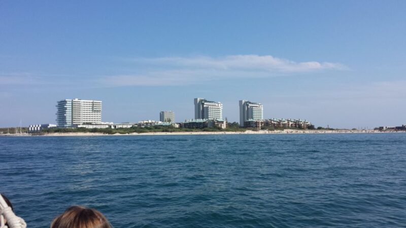 DOLPHIN LOVERS FULL DAY TOUR - The Journey Begins: From Lisbon to Azeitão