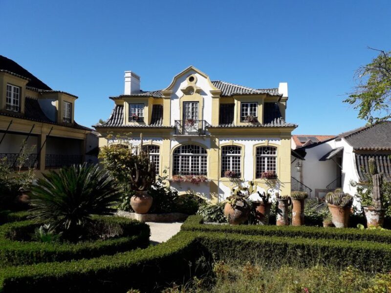 DOLPHIN LOVERS FULL DAY TOUR - Authentic Portuguese Lunch in Setúbal