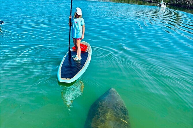 Dolphin, Manatee and Sea Turtle Adventure Tour of Bonita Springs - Paying Attention to the Details