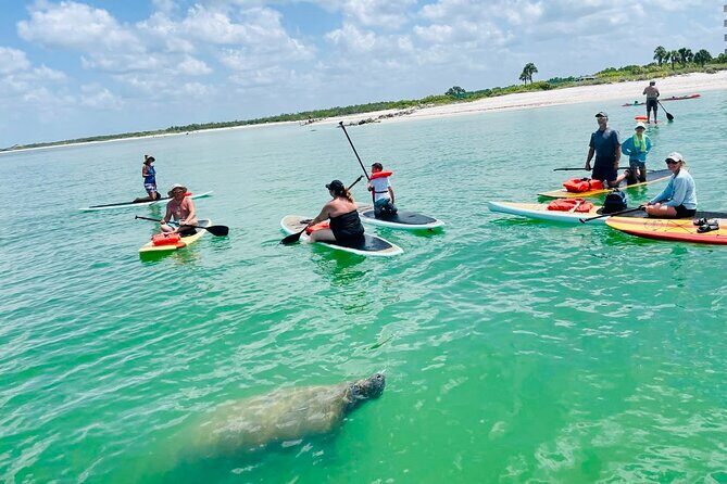 Dolphin, Manatee and Sea Turtle Adventure Tour of Bonita Springs - FAQ