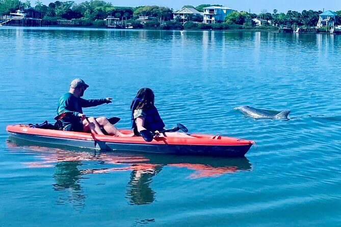 Dolphin, Manatee and Sea Turtle Kayak Adventure - Who Will Love This Experience?