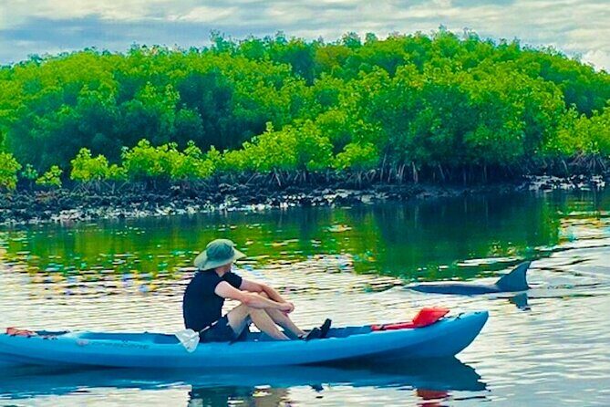 Dolphin, Manatee and Sea Turtle Kayak Adventure - FAQs
