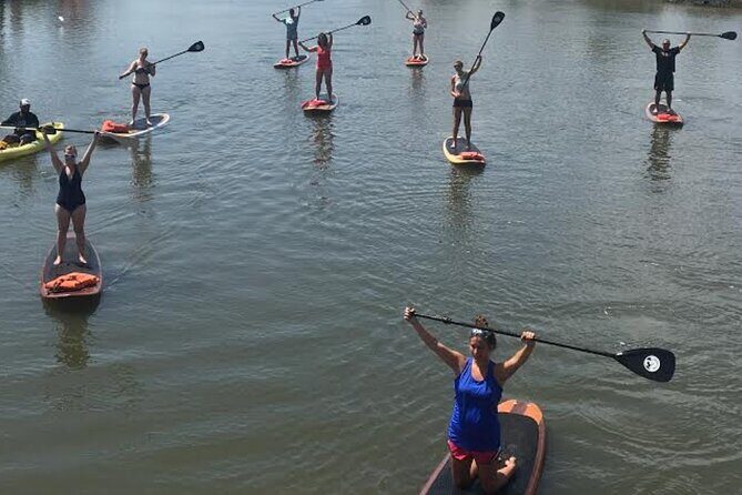 Dolphin, Manatee and SeaTurtle SUP Adventure Tour of St Augustine - The Sum Up: Who Should Consider This Tour?