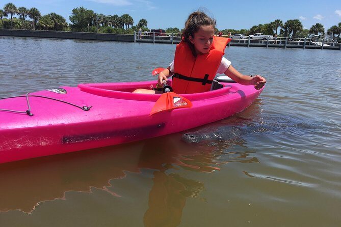Dolphin & Manatee Kayaking Tour in Orlando Area - The Sum Up
