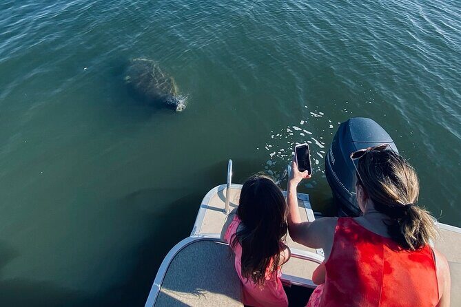 Dolphin/Manatee Pontoon Boat Tour with Local Expert - FAQs