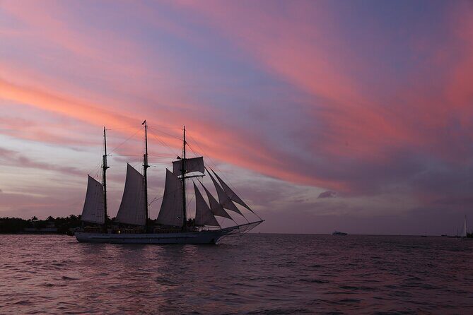 Dolphin Morning Watching & Snorkeling + open bar + 1 day Hop-On Hop-Off Fun - Who Will Love This Tour?