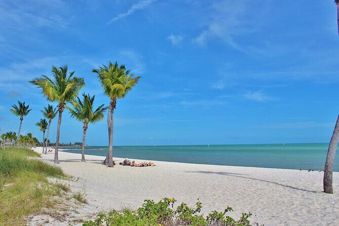 Dolphin Morning Watching & Snorkeling + open bar + 1 day Hop-On Hop-Off Fun - FAQ