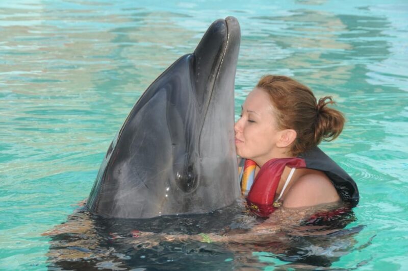 Dolphin Park Entry with Live Show and Pickup - Final Words