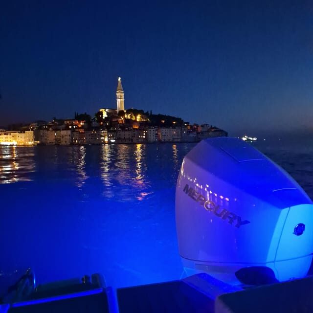 Dolphin private sunset tour Rovinj - FAQ